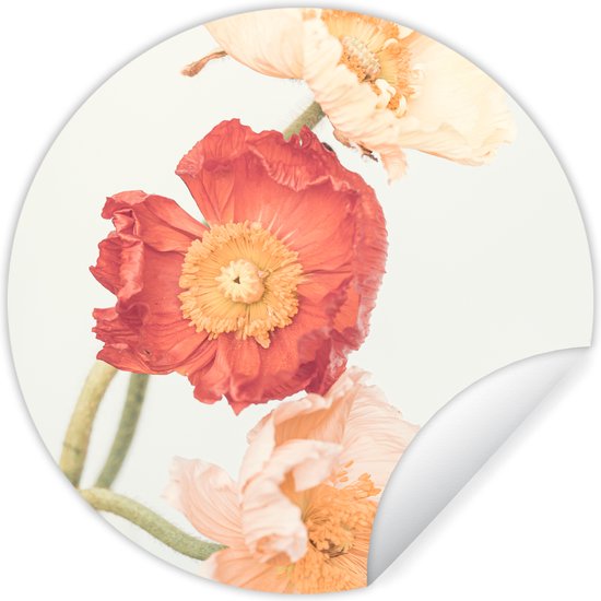 WallCircle - Muurstickers - Behangcirkel - Bloemen - Rood - Natuur - Planten - 100x100... | bol
