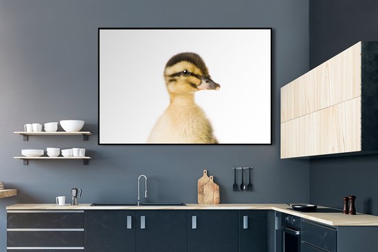 Eend - Geel - Dieren - Natuur | bol.com