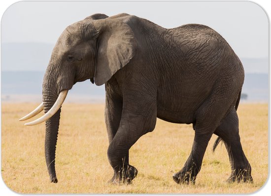 Muismat - Afrikaanse Olifant - 25x18 cm - 2 mm Dik - Muismat van Vinyl | bol.com