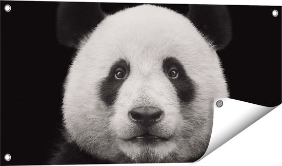Gards Tuinposter Panda - Pandakop - 80x40 cm - Tuindoek - Tuindecoratie ...