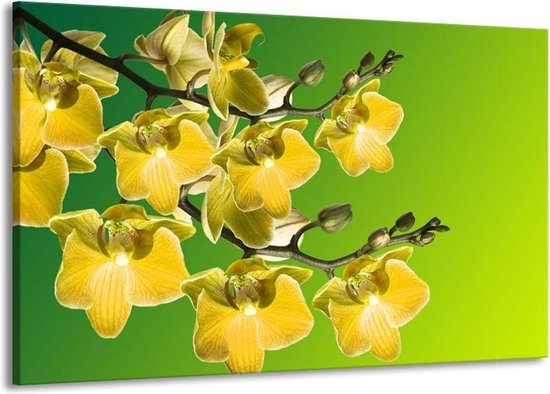 Schilderij Op Canvas - Groot - Orchidee - Geel, Groen, Wit - 140x90cm ...