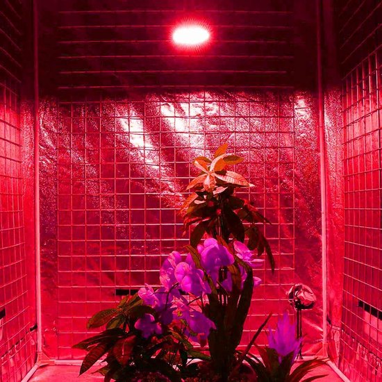 Diepe 660 nm LED groeilampen voor groei bloei vruchtend rode spectrum ...
