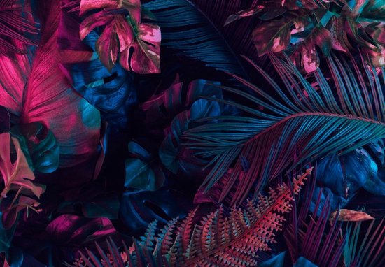 Fotobehang - Vlies Behang - Tropische Jungle Bladeren - Planten ...