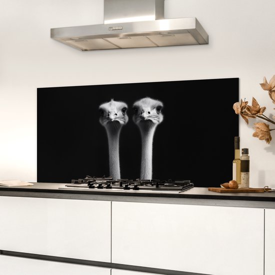 Spatscherm keuken 100x50 cm - Kookplaat achterwand Struisvogels ...