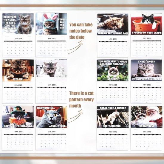 Allecto Plus - Kalender 2025 voor kattenliefhebbers met boze katten en ...