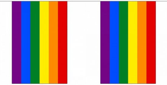 Regenboog pride vlaggen versiering pakket binnen/buiten 2-delig - Decoratie vlaggetjes | bol