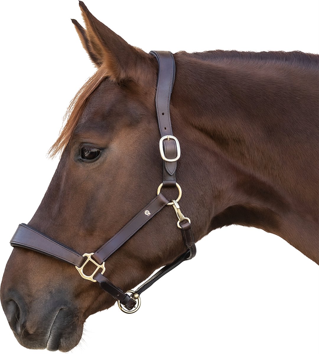 Waldhausen X-Line Leather Halter Anatomic | Cob | bol.com