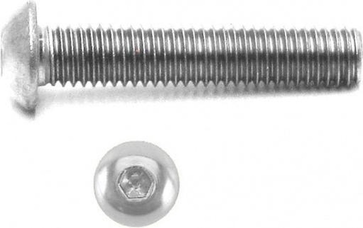 Bofix Inbusbouten Bolkop M6 X 30 Mm Rvs 25 Stuks | bol
