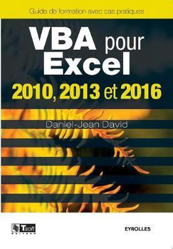 VBA pour Excel 2010, 2013 et 2016 | 9782212144574 | Daniel-Jean David | Boeken | bol.com