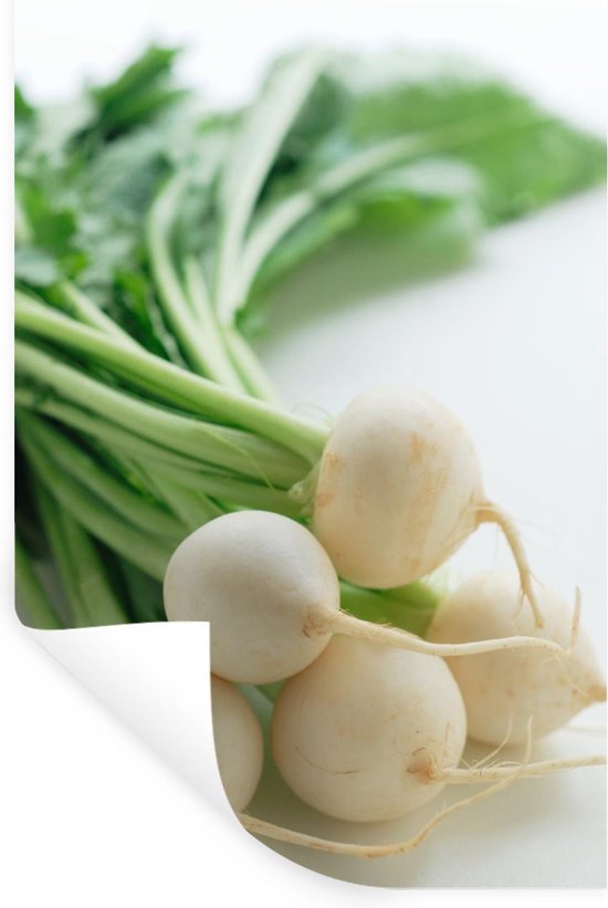 Muursticker Knolraap - Close-up vanbos van baby knolrapen - 20x30 cm ...