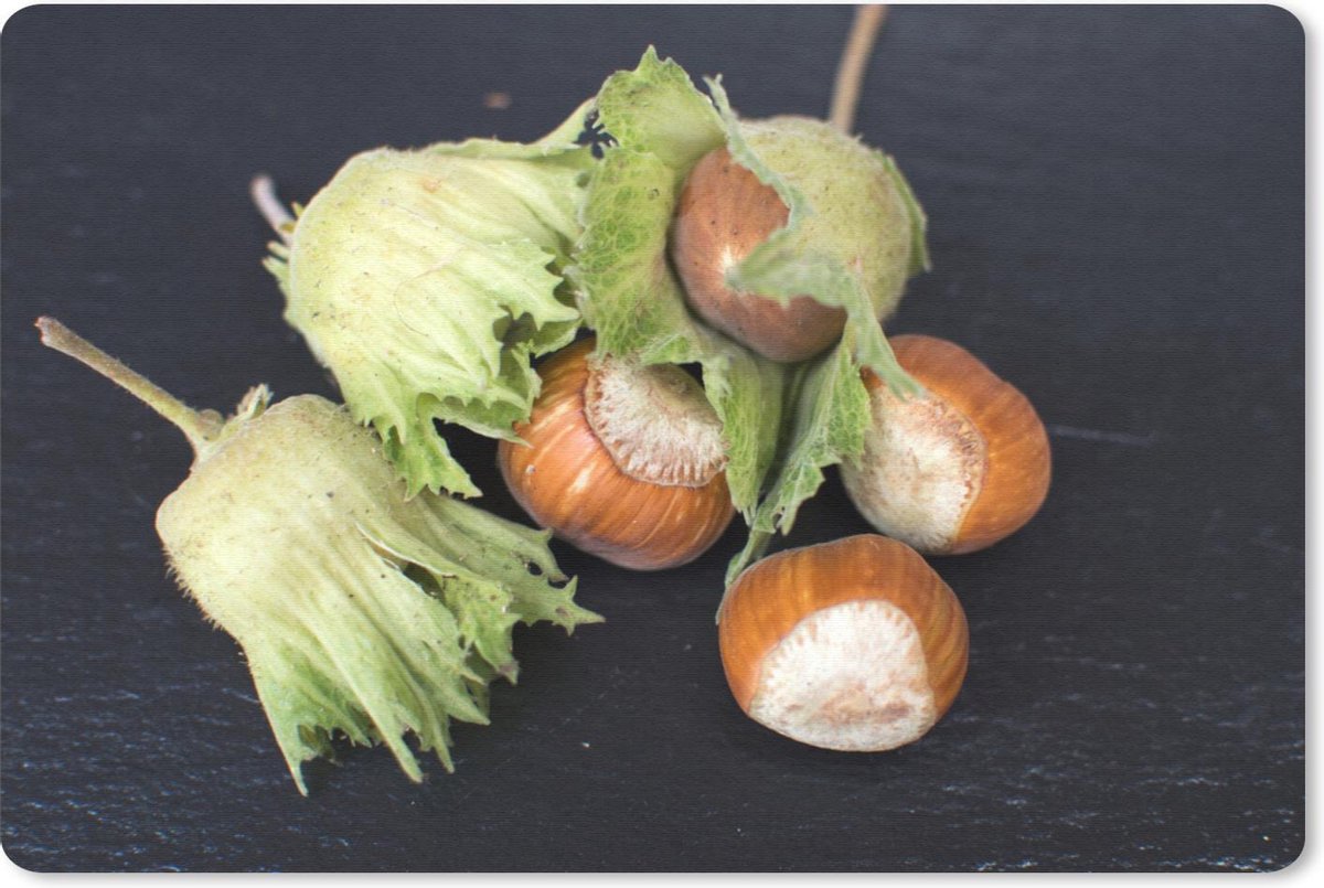 Muismat Hazelnoot - Verse hazelnoten van de boom muismat rubber - 60x40 ...