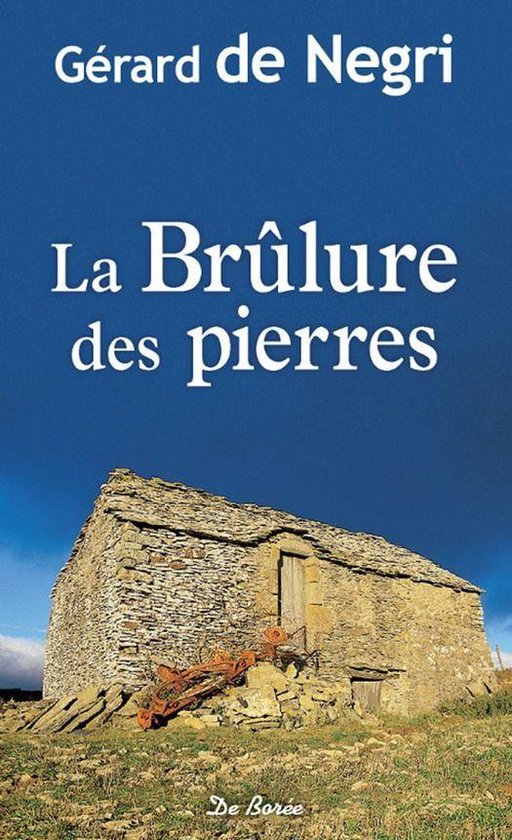 Romans - La Brûlure des pierres (ebook), Gérard de Negri ...