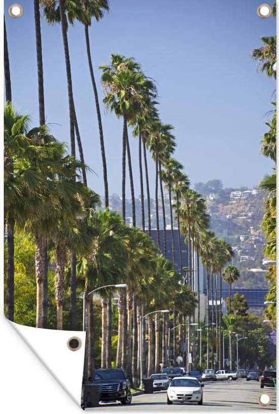 Muurdecoratie Palmbomen langs de weg in Beverly Hills in Noord-Amerika ...