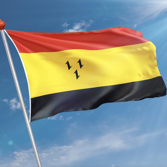 Vlag gemeente Purmerend - 100 x 150 cm - Polyester | bol.com
