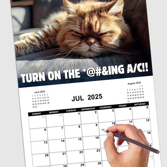 Kalender 2025 met boze katten - Familiekalender 2025 voor kantoor ...