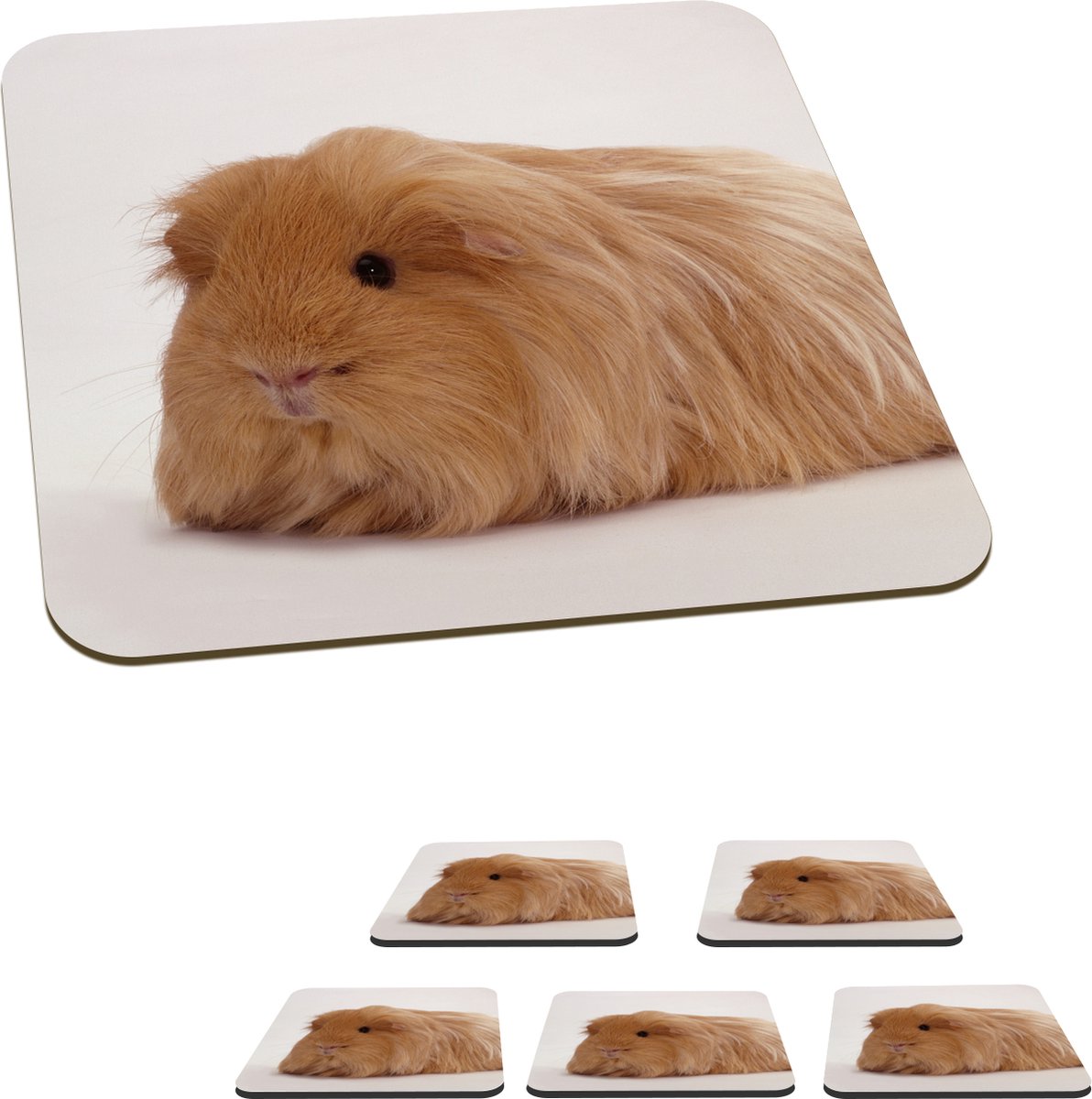 Onderzetters voor glazen - Sheltie cavia - 10x10 cm - Glasonderzetters ...