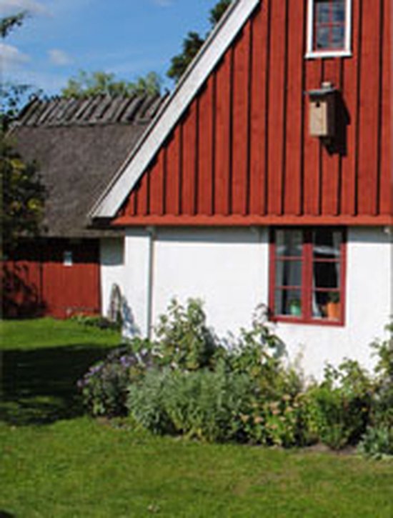 Rode aarde/Iron primer Lijnolieverf - 1 liter | bol