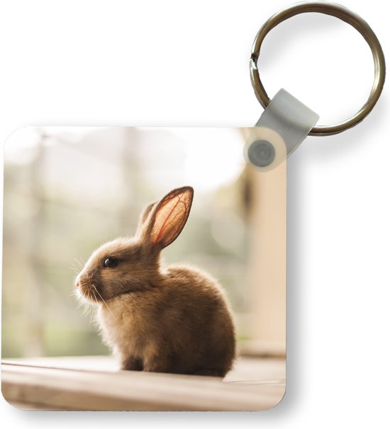 Sleutelhanger - Uitdeelcadeautjes - Konijn - Baby - Dier - Plastic | bol