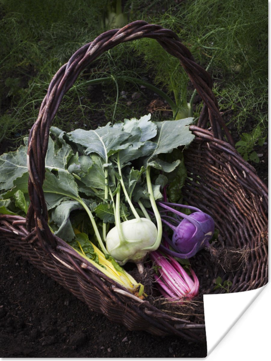 Chou-rave coloré dans un panier tressé Poster 120x160 cm - Tirage photo ...