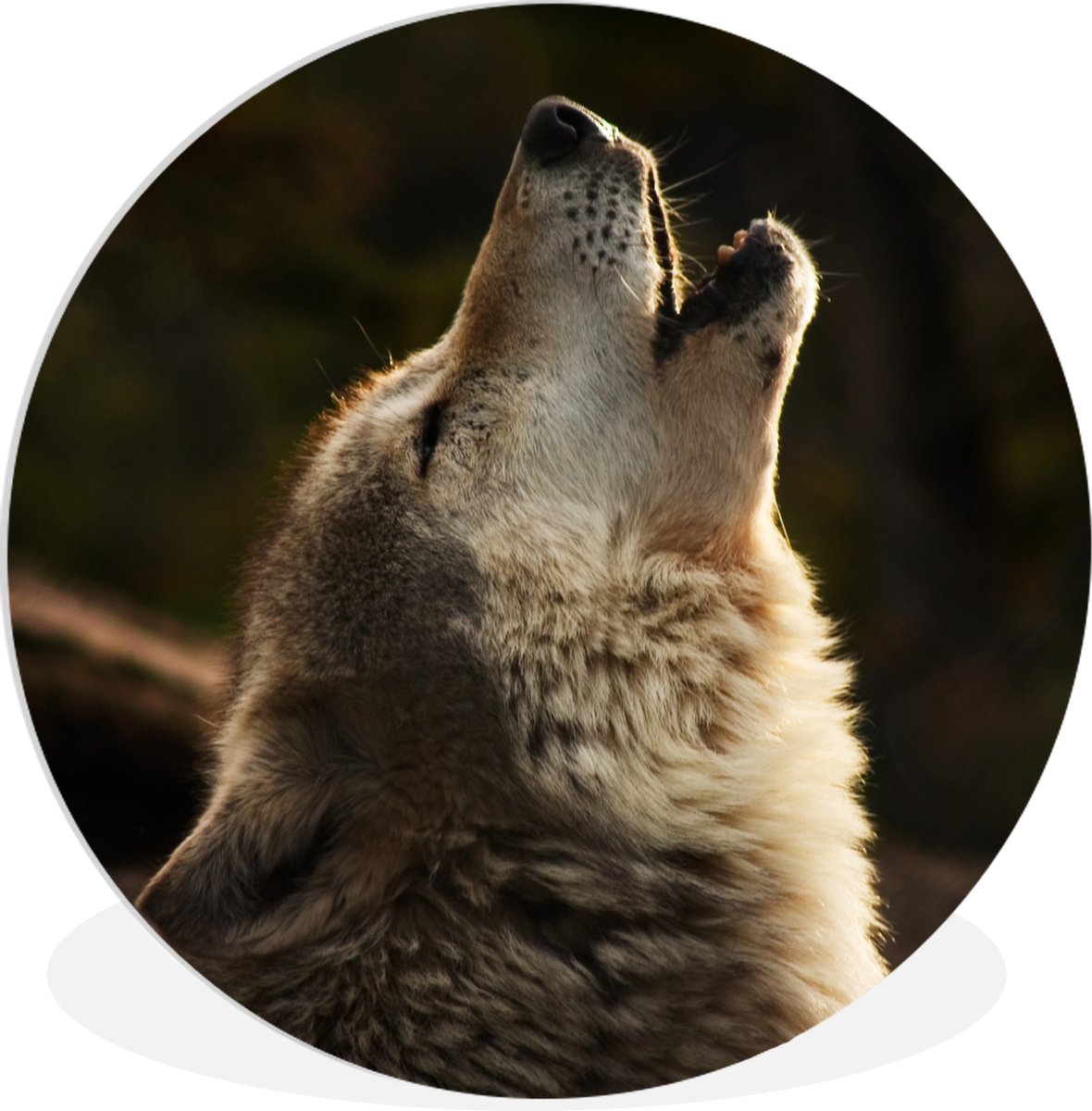 Wall Circle - Wall Circle Indoor - Loup - Grijs - Animaux - 90x90 cm ...