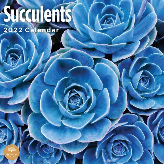 Succulents Kalender 2022 | bol.com