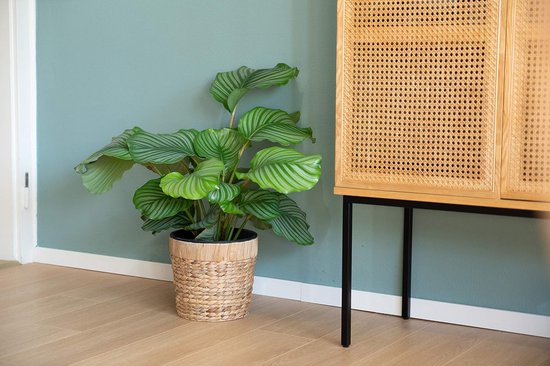 Set van 3 bloempotten, rond, gevlochten, van zeegras, met kunststof ...