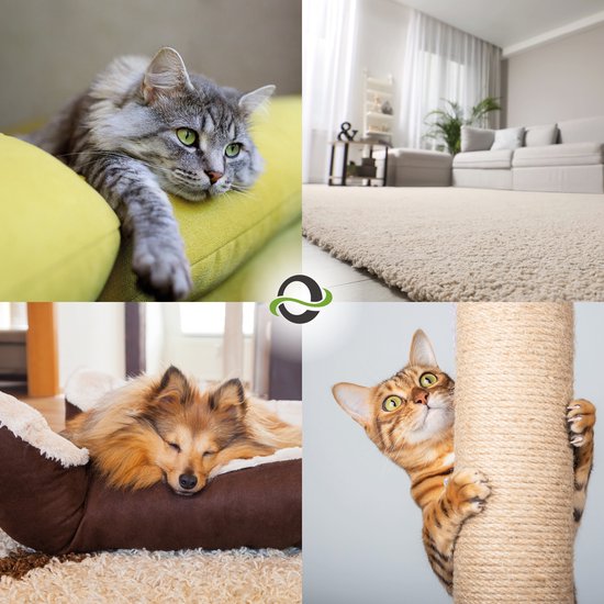 Ecodor Geur- & Vlekverwijderaar - 250ml - Tegen de geur en vlekken van ...