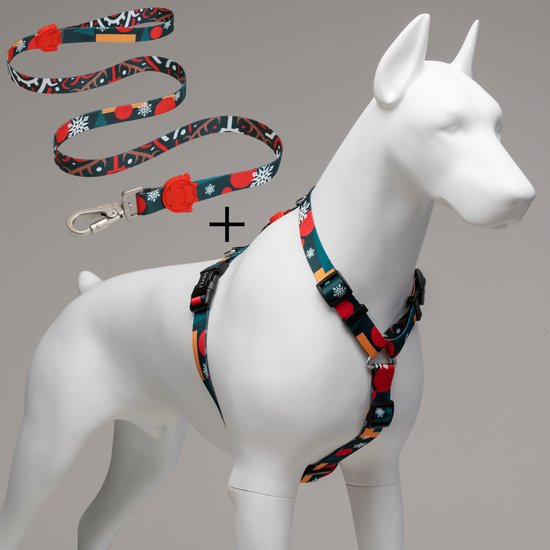 Lindo Dogs - Wandelset van 2 - Hondenriem - Hondenharnas / Hondentuigje ...