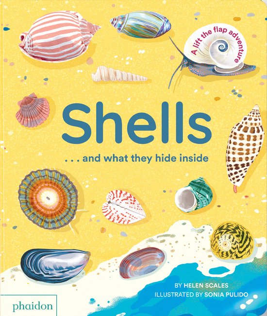 Shells... and what they hide inside, Helen Scales | 9781838667887 ...