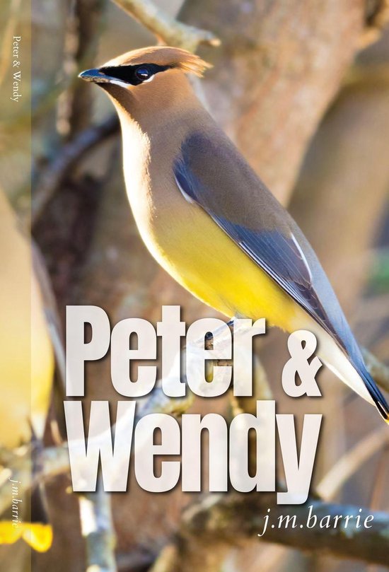 Peter Pan 3 - Peter & Wendy (ebook), J.M. Barrie | 1230004311744 ...