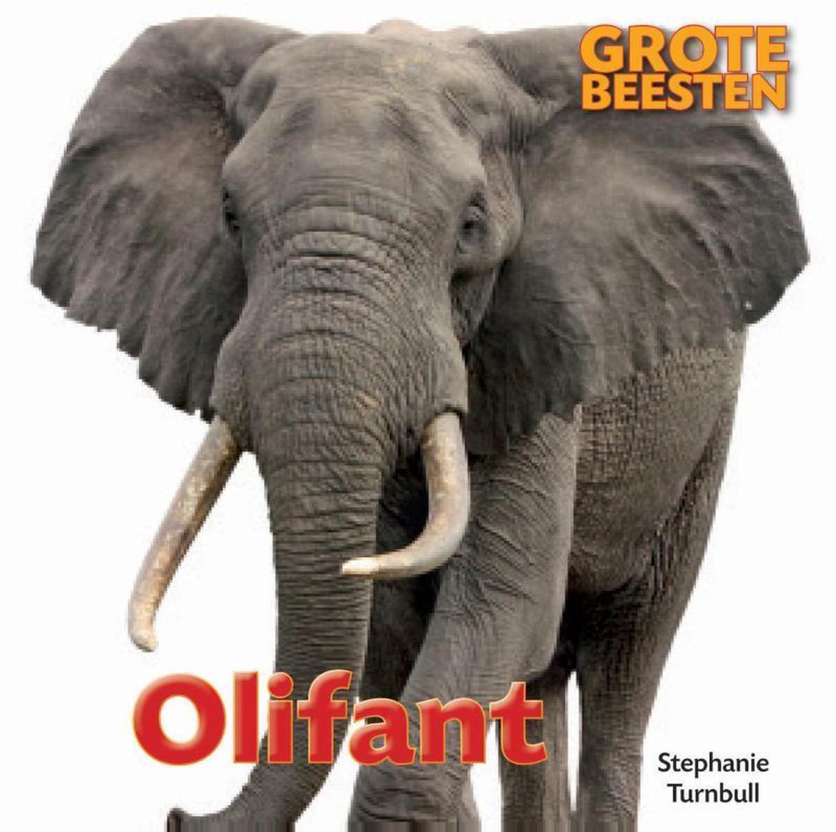 Grote Beesten - Olifant | 9789461750686 | Stephanie Turnbull | Boeken ...