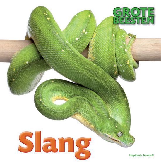 Grote Beesten - Slang | 9789461752628 | Stephanie Turnbull | Boeken | bol