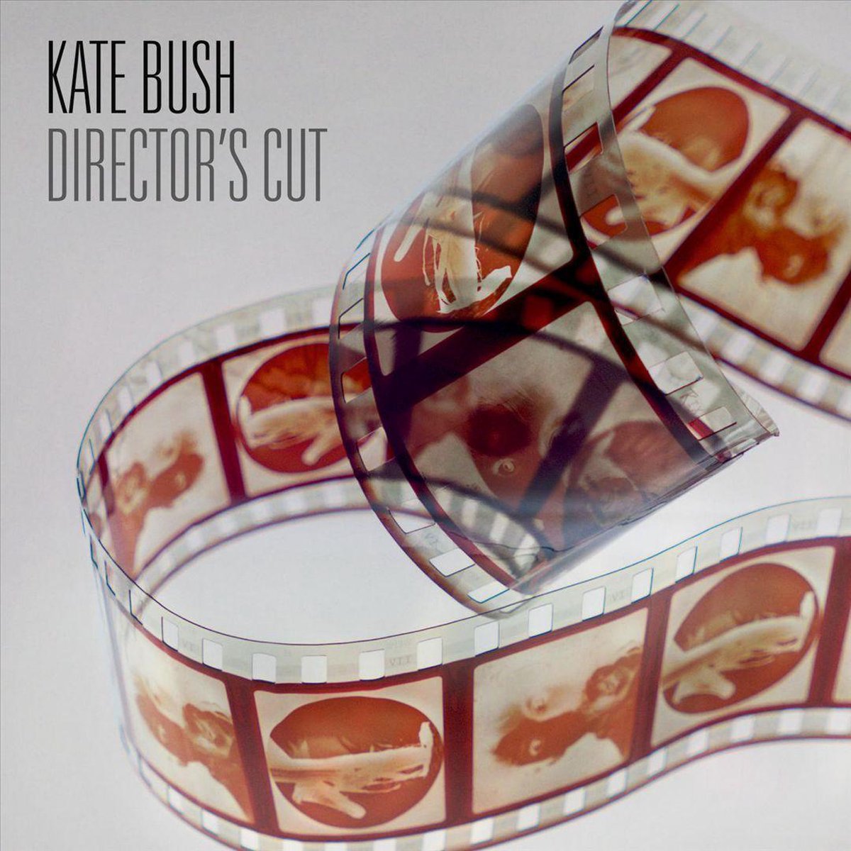 Director's Cut (Deluxe Edition), Kate Bush | CD (album) | Muziek | bol.com