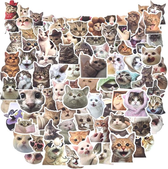 100 Stuks Leuke Katten Stickers - Waterdicht Kitten Meme Decoratie voor ...