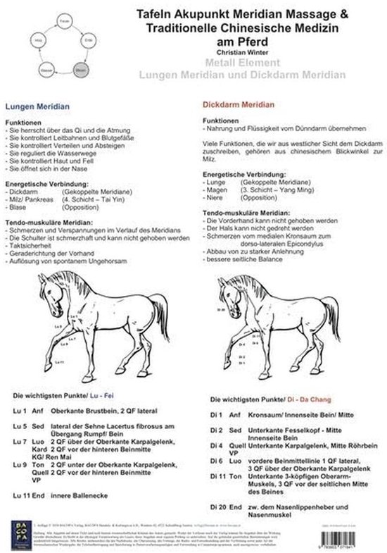 Carte des méridiens du cheval : Méridien du Poumon et du Gros Intestin ...