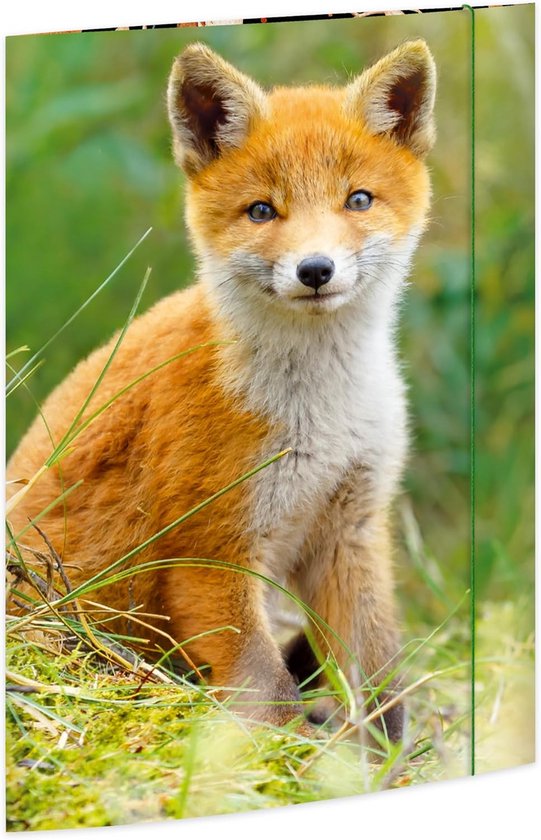 Tekenmap Vos 320 x 430 mm - Kartonnen Map voor DIN A3 Documenten met ...