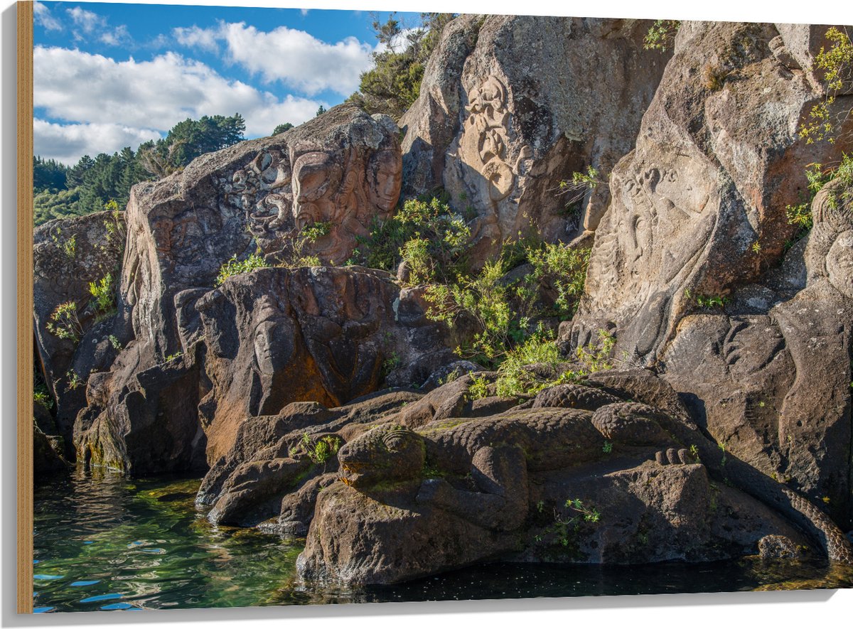 Hout - Begroeiing op Rotsen in het Water - 100x75 cm - 9 mm dik - Foto ...