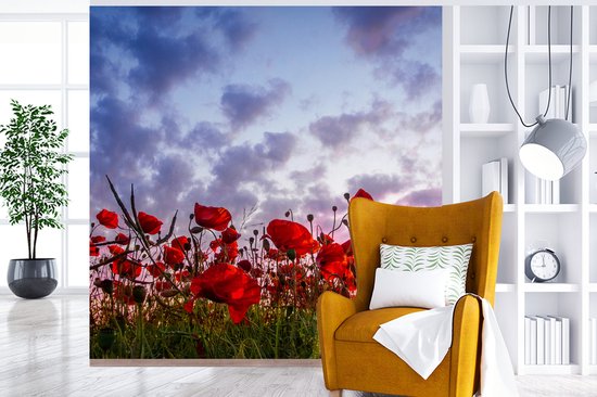 Behang - Fotobehang Panorama van een kleurrijk veld klaprozen - Breedte ...