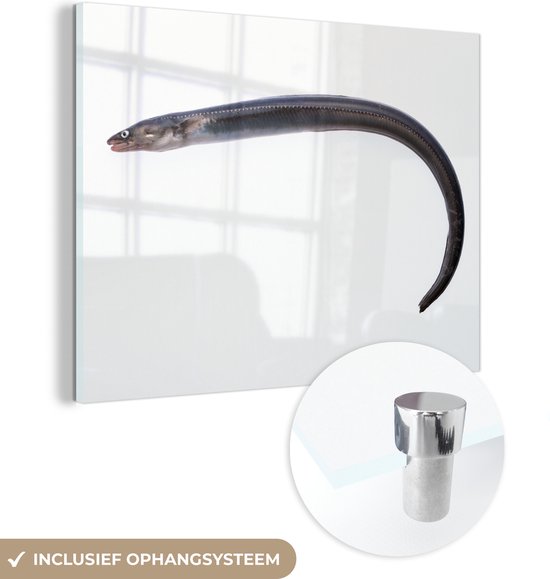 MuchoWow® Glasschilderij 40x30 cm - Schilderij acrylglas - Een ...