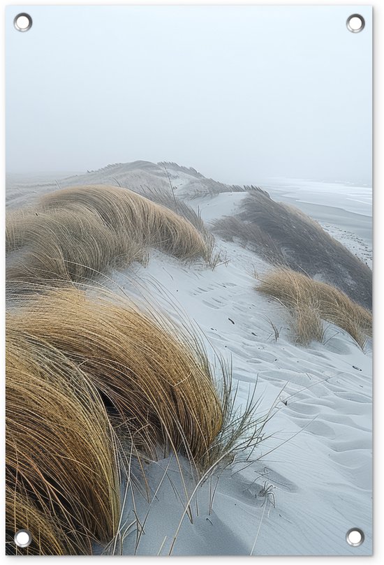 Tuinposter 40x60 cm - Tuindecoratie Duinen - Strand - Planten - Natuur - Poster voor... | bol