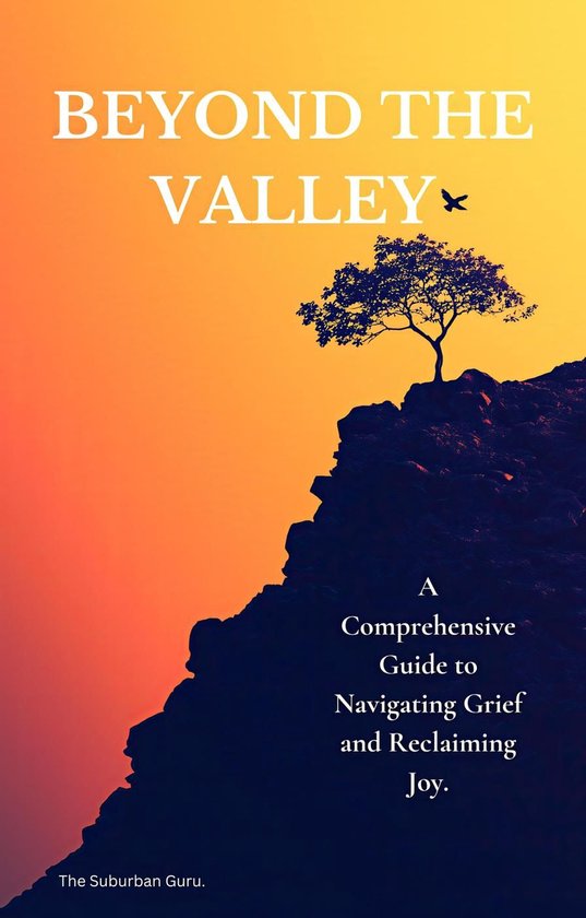 Beyond the Valley: A Comprehensive Guide to Navigating Grief and Reclaiming Joy.... | bol