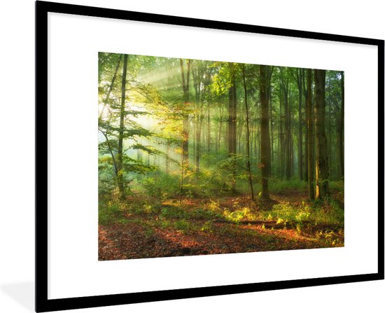 Fotolijst incl. Poster - Zon - Bos - Bomen - Natuur - Herfst - 120x80 ...