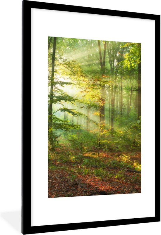 Fotolijst incl. Poster - Zon - Bos - Bomen - Natuur - Herfst - 60x90 cm ...