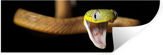 Muurstickers - Sticker Folie - Slang - Dier - Zwart - 60x20 cm ...