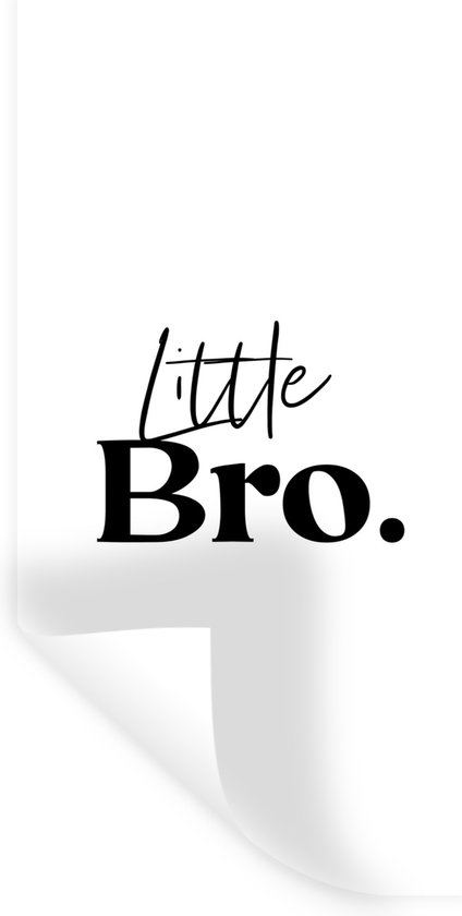 Muurstickers - Sticker Folie - Little bro - Broer - Quotes - Spreuken ...