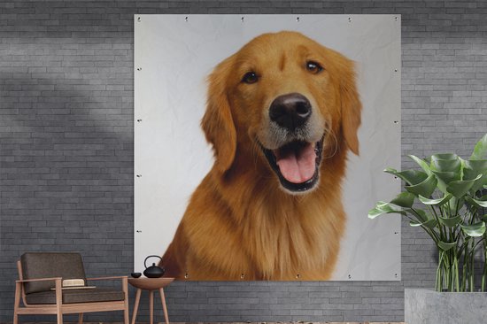 Tuin poster Portretfoto van een goudbruine Golden Retriever - 200x200 ...