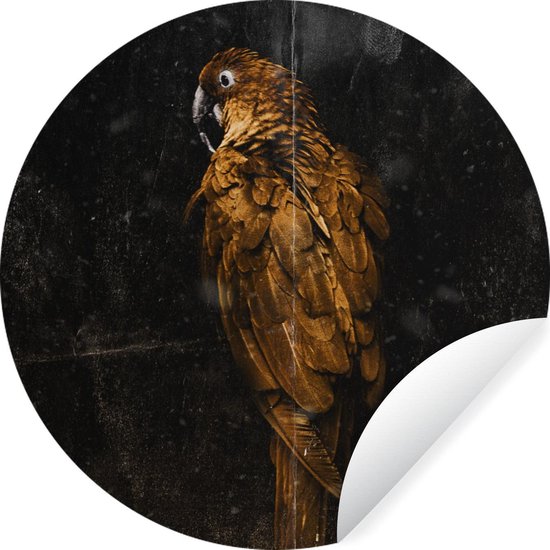 WallCircle - Muurstickers - Behangcirkel - Papegaai - Zwart - Goud - 50x50 cm -... | bol