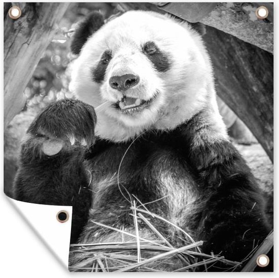 Posters de jardin Une photo en gros plan d'un panda géant - noir et ...