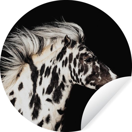 WallCircle - Muurstickers - Behangcirkel - Paard - Stippen - Dier - 80x80 cm -... | bol