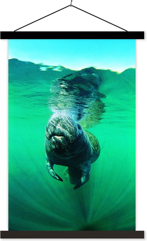 dugong nage en affiche école d'eau couleur verte lattes plates noir ...